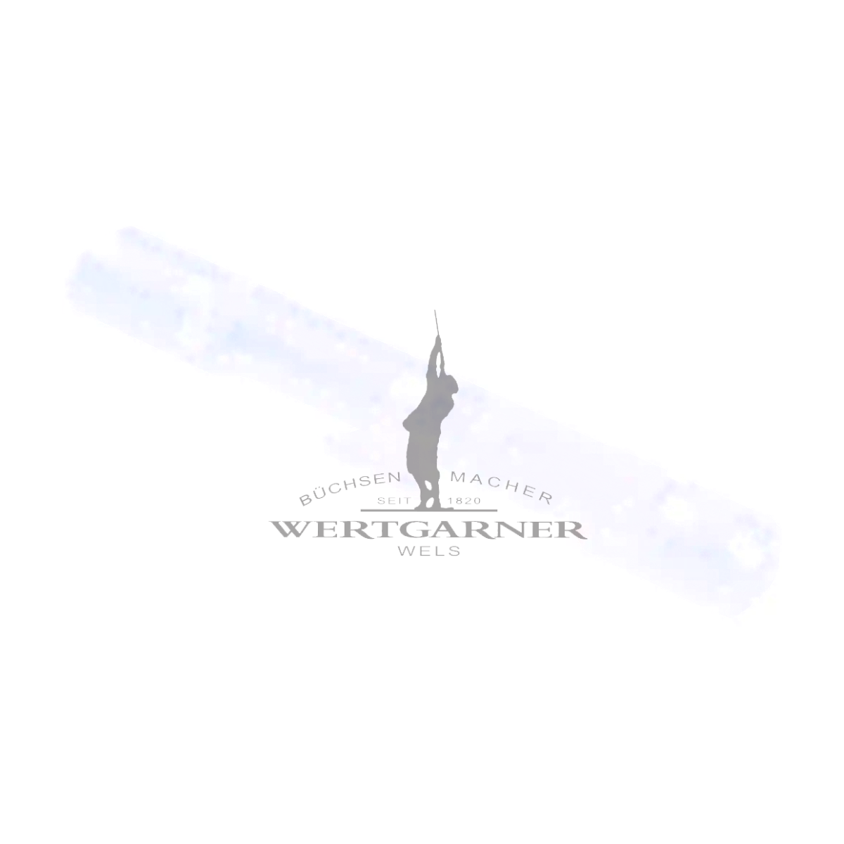 Dentler Grundschiene BASIS Blaser, 123,00